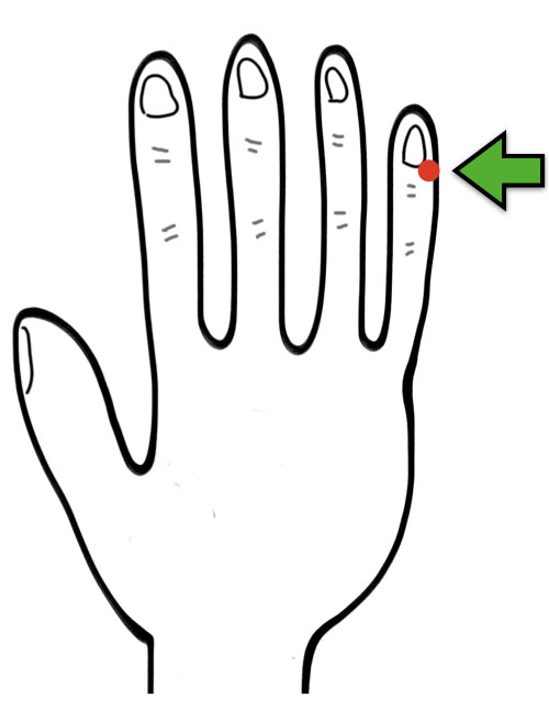 Small Intestine Channel | TCMStudy.net