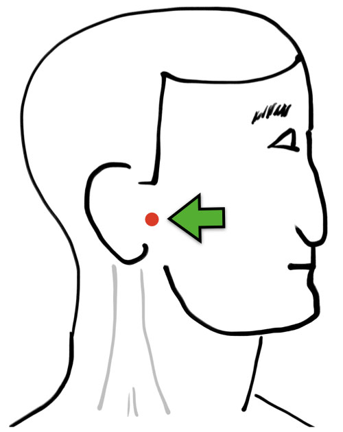 Small Intestine Channel | TCMStudy.net